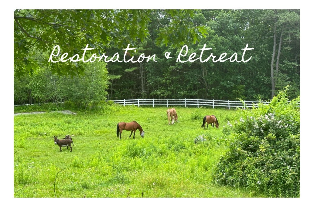 Programs – Moonlight Ranch