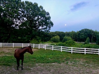 Moonlight Ranch, Inc. – A privately owned ranch hosting licensed ...