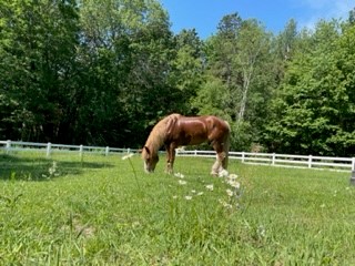 Moonlight Ranch, Inc. – A privately owned ranch hosting licensed ...