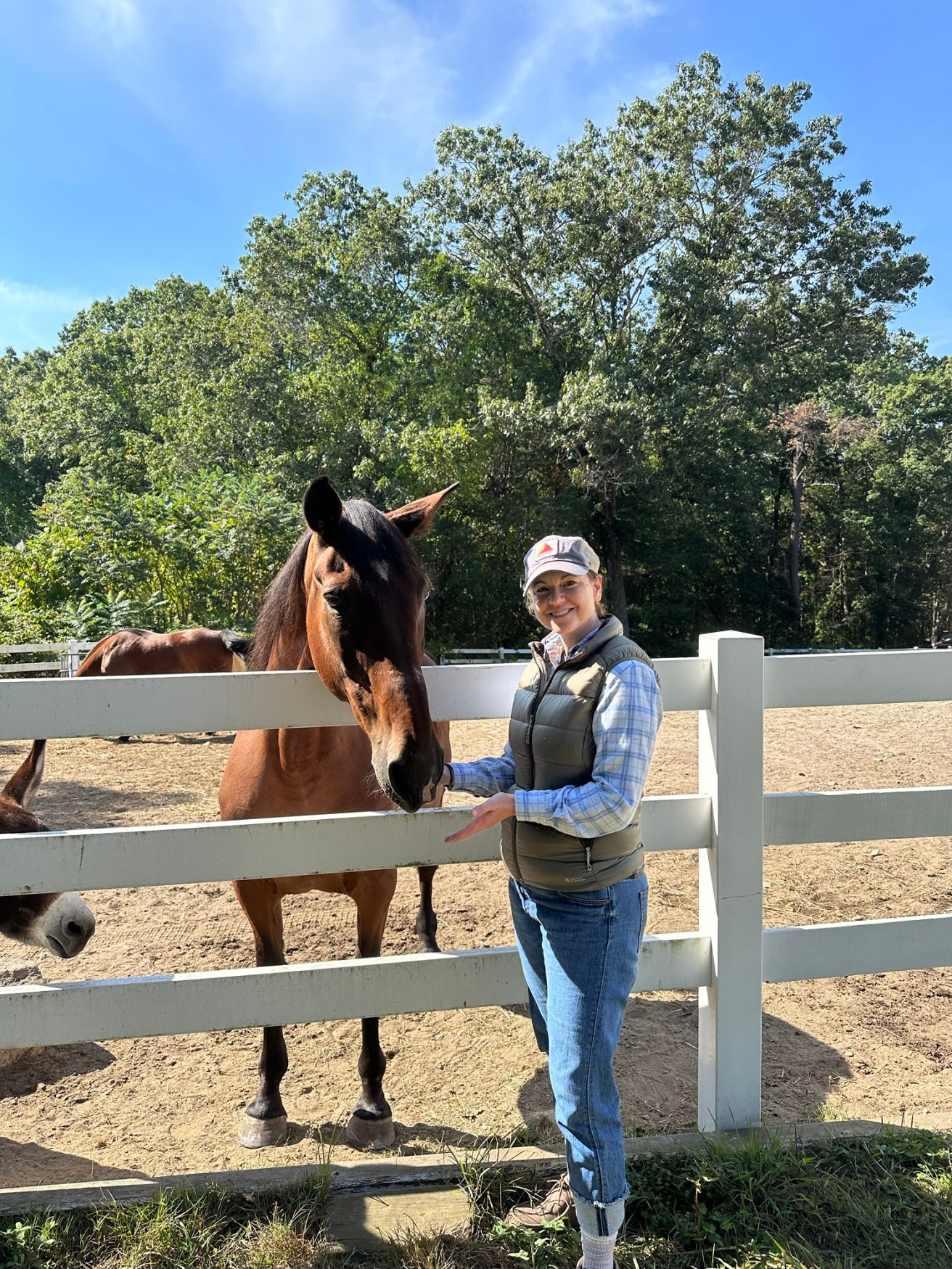 Restorative Retreats for All – Moonlight Ranch, Inc.